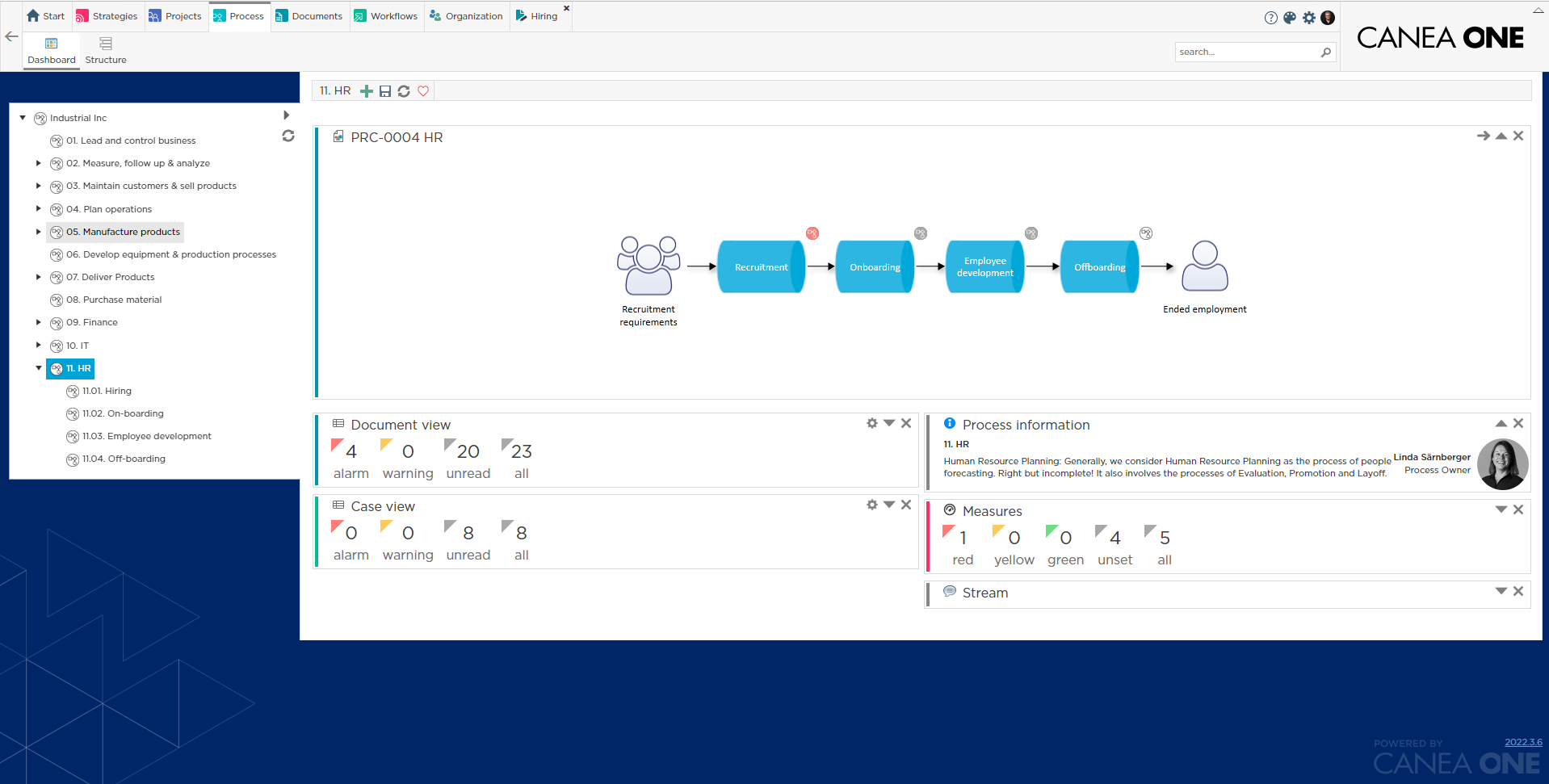 CANEA Process - Process Modelling